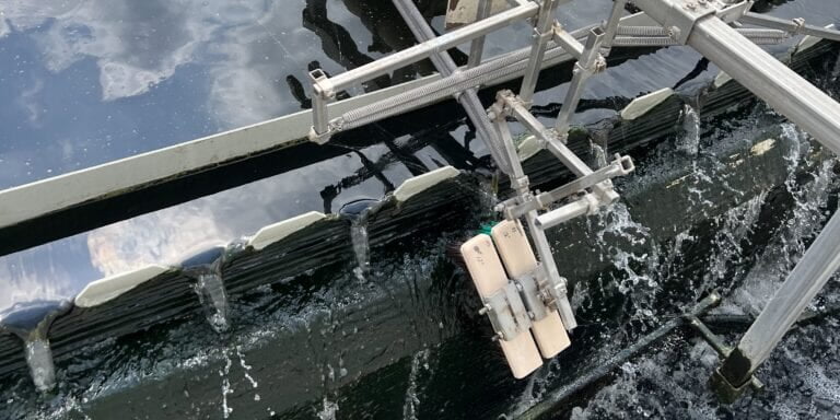 Ultrasonic Technology Effectively Combats Blue Green Algae Blooms | Algae Control Australia